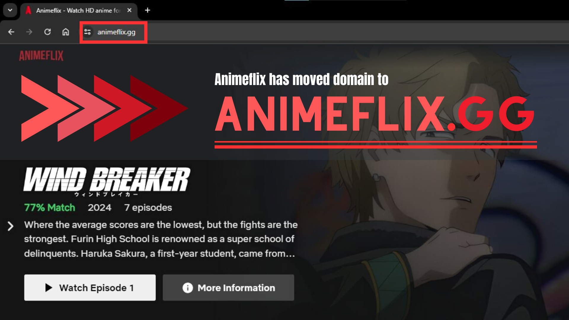 Animeflix Shutdown 2024: Alternatives for Anime Streaming